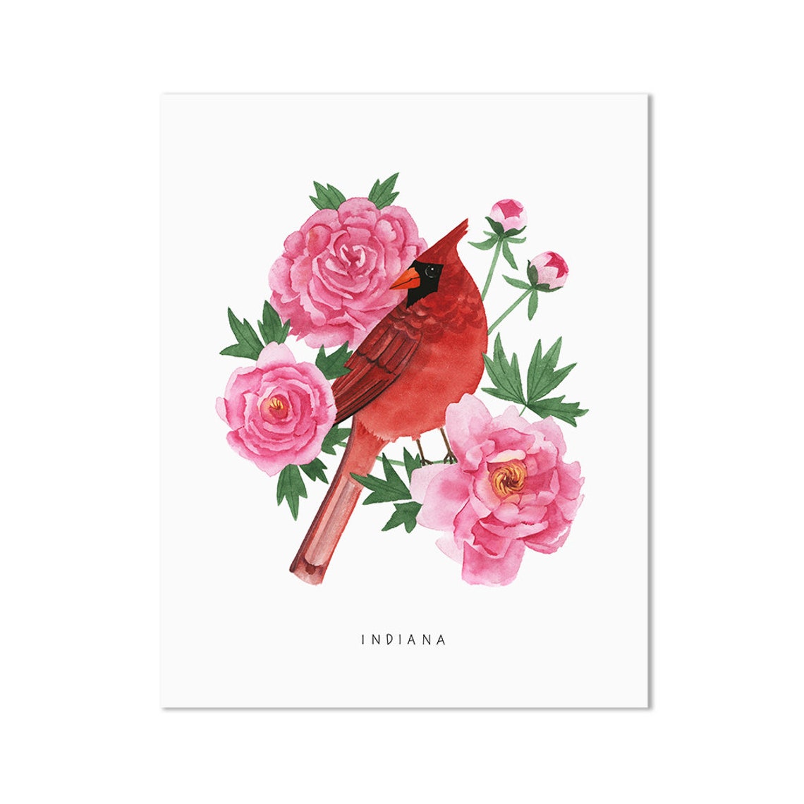 Indiana State Bird Art Print Indiana Cardinal and Peony - Etsy