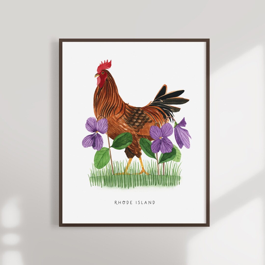 Rhode Island Red Art Print | Watercolor State Bird & Violet Flowers - Etsy