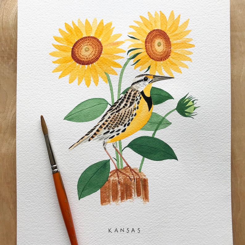 Kansas State Bird Art Print Kansas Meadowlark and Sunflower - Etsy