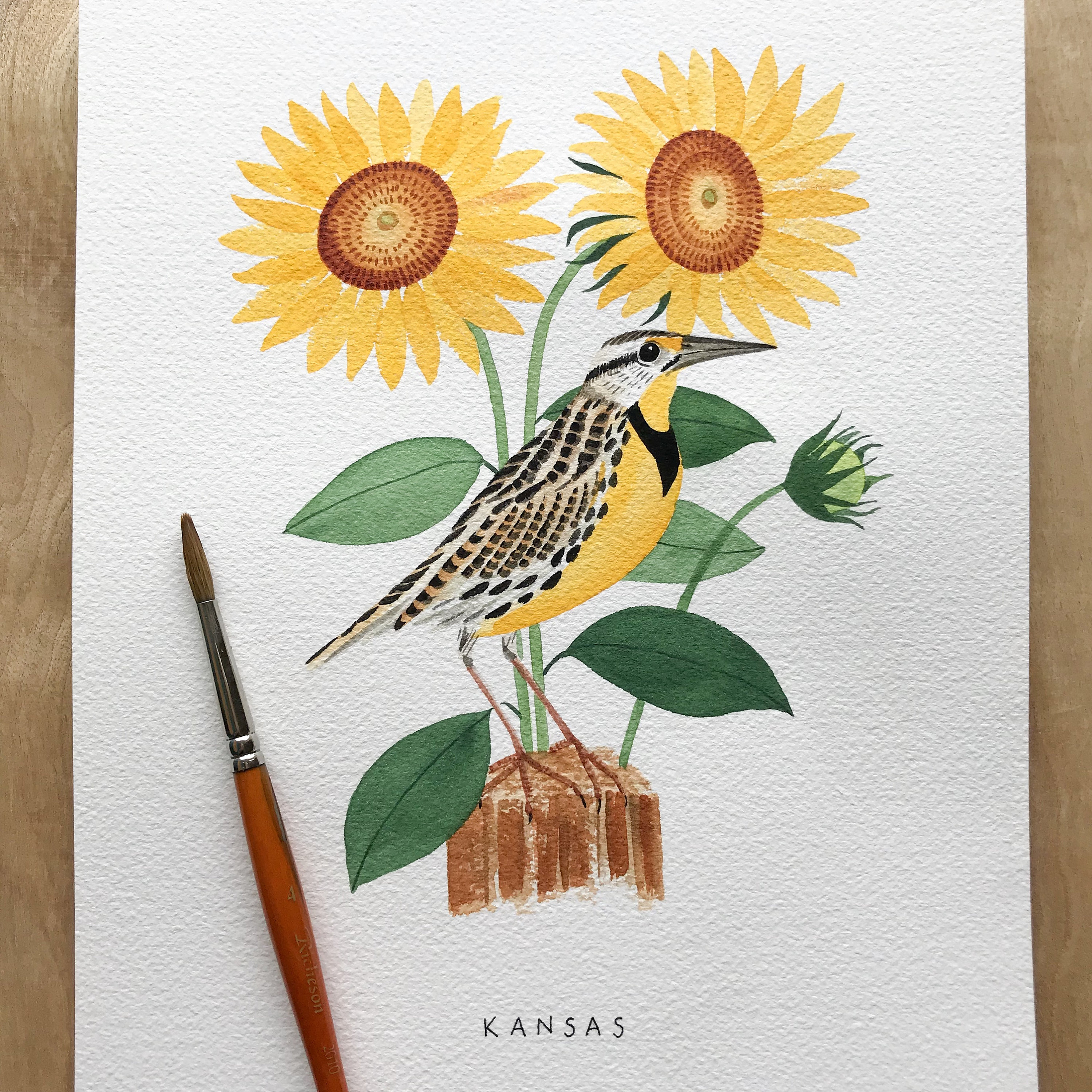 Kansas State Bird Art Print Kansas Meadowlark and Sunflower - Etsy