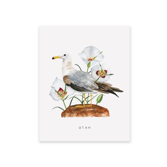 Utah State Bird Printable