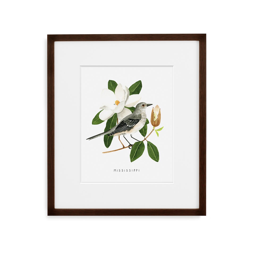 Mississippi Bird Drawing