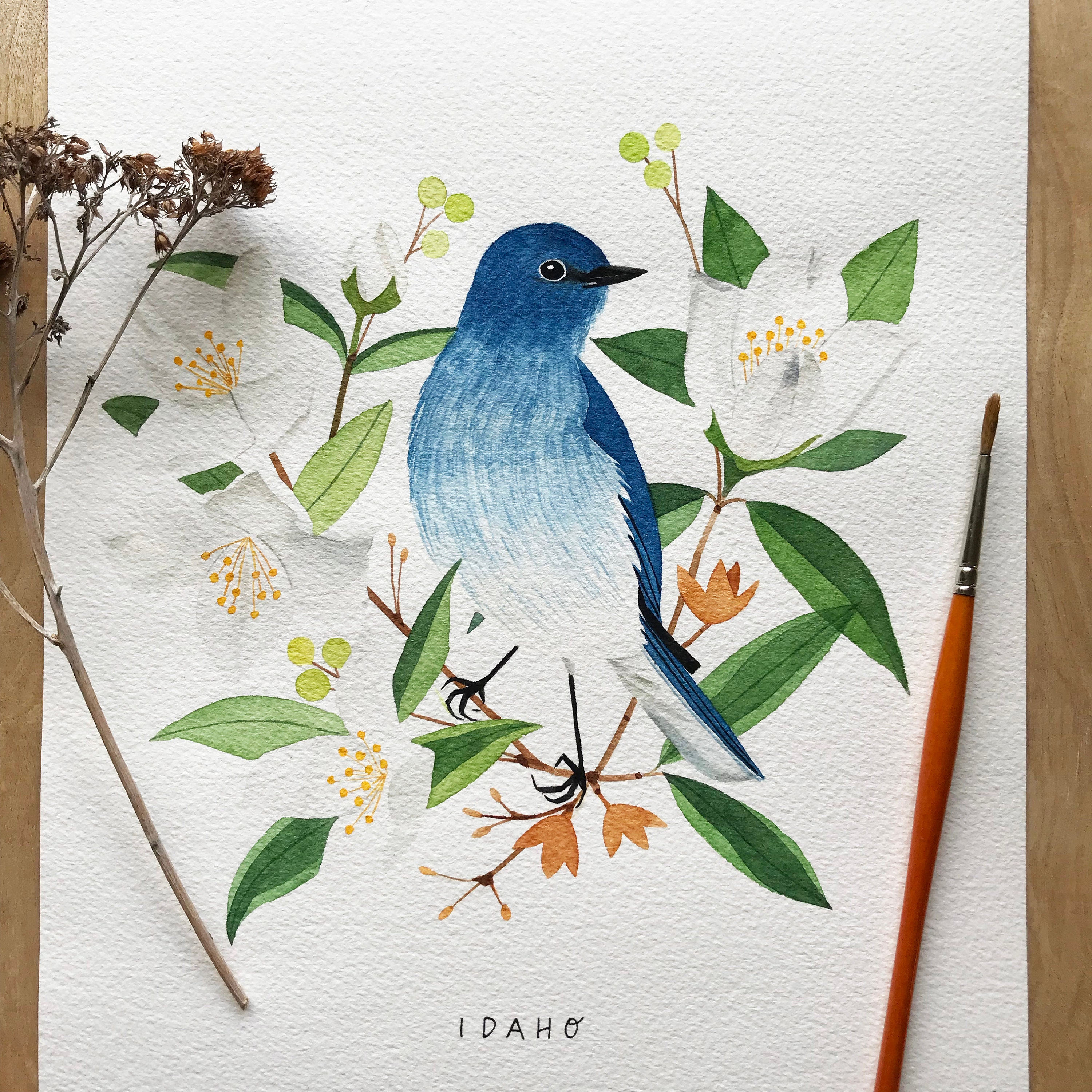 Idaho State Bird Art Print Idaho Mountain Bluebird and Mock - Etsy