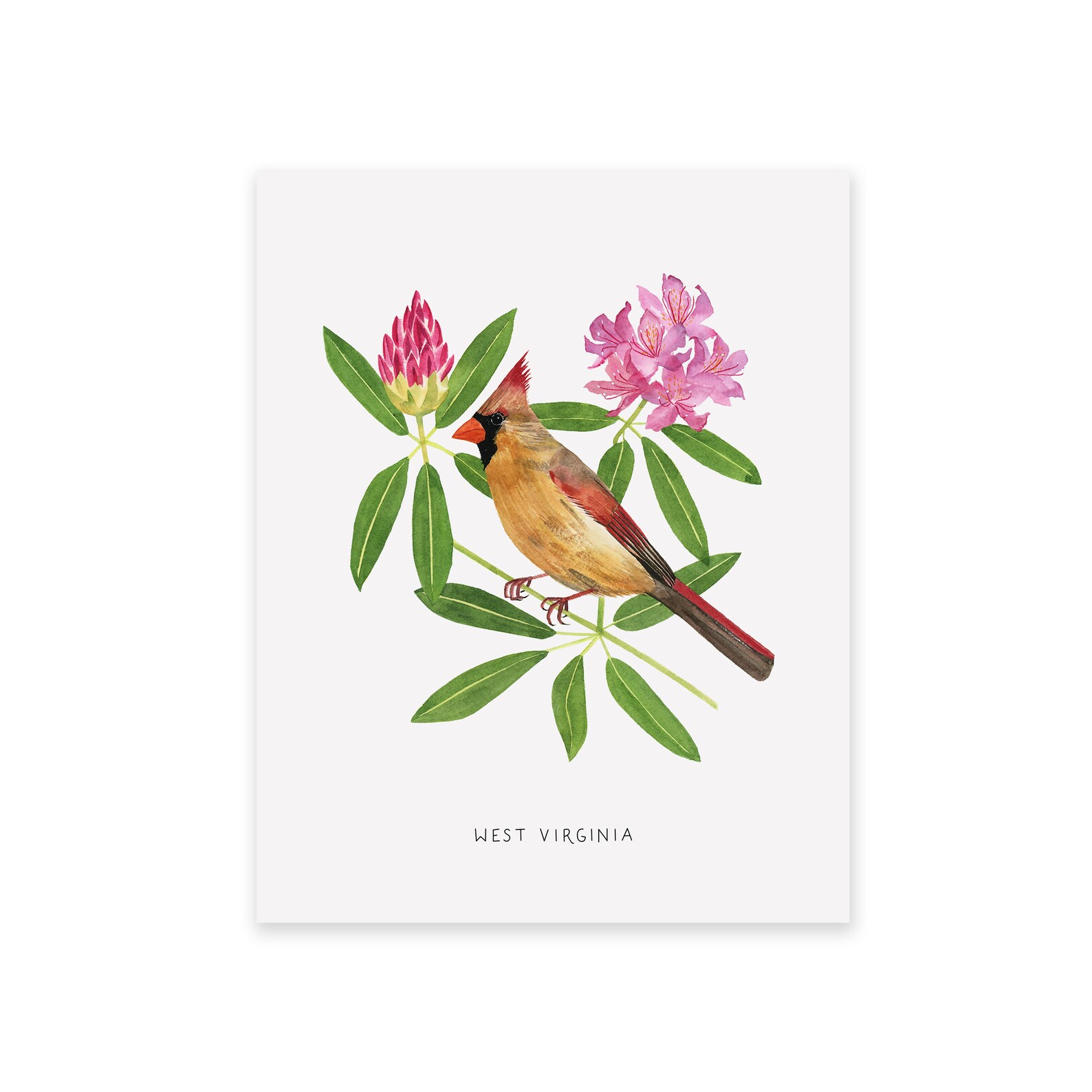 West Virginia Cardinal Art Print | Rhododendron Watercolor Wall Art - Etsy