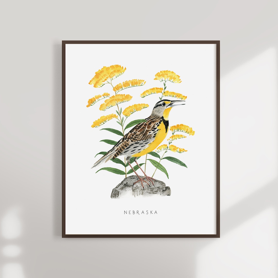 Nebraska State Bird Art Print | Nebraska Meadowlark and Goldenrod ...