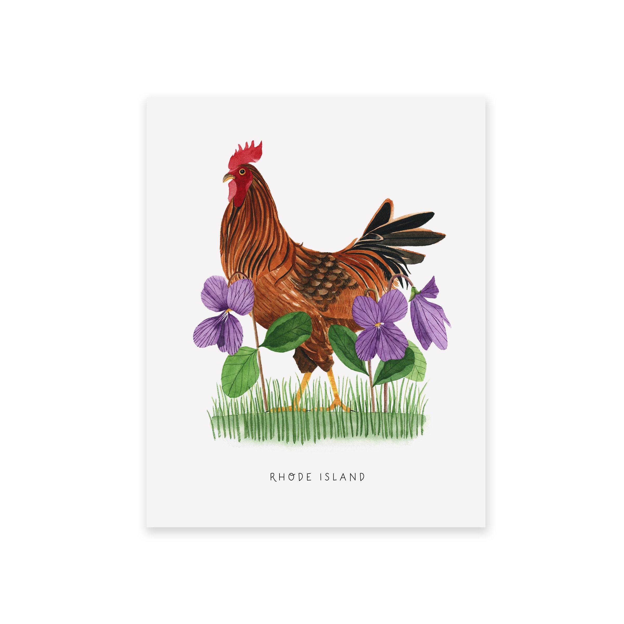 Rhode Island State Bird Art Print / Rhode Island Red and - Etsy España