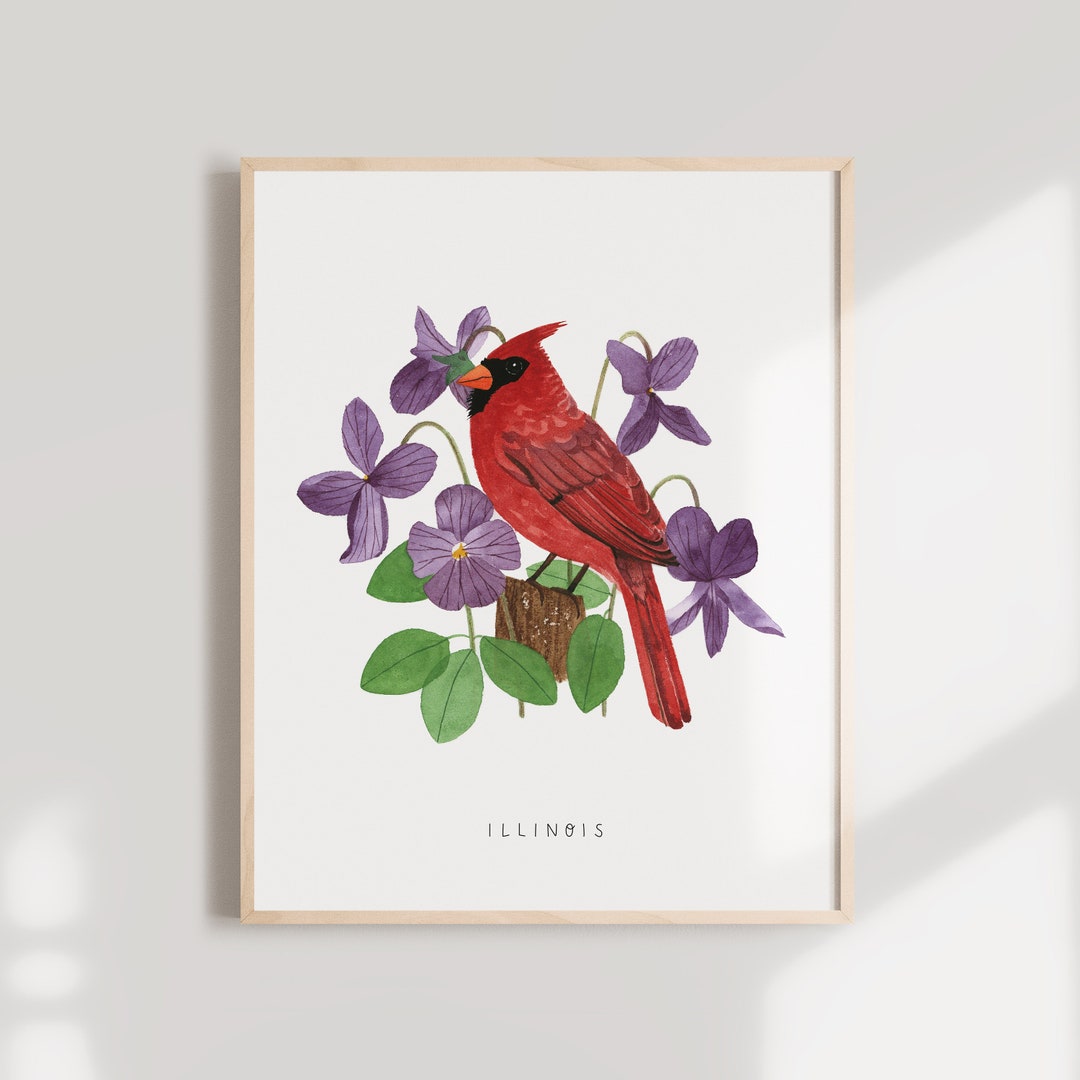 Illinois Cardinal Art Print | Watercolor State Bird & Violet Flower - Etsy