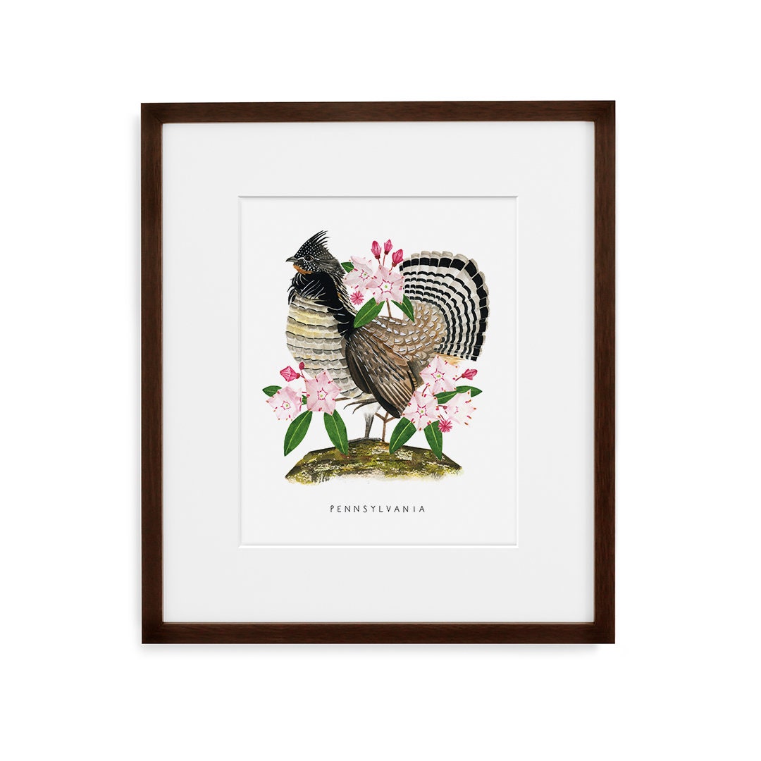 Pennsylvania State Bird Art Print PA Ruffed Grouse and - Etsy UK