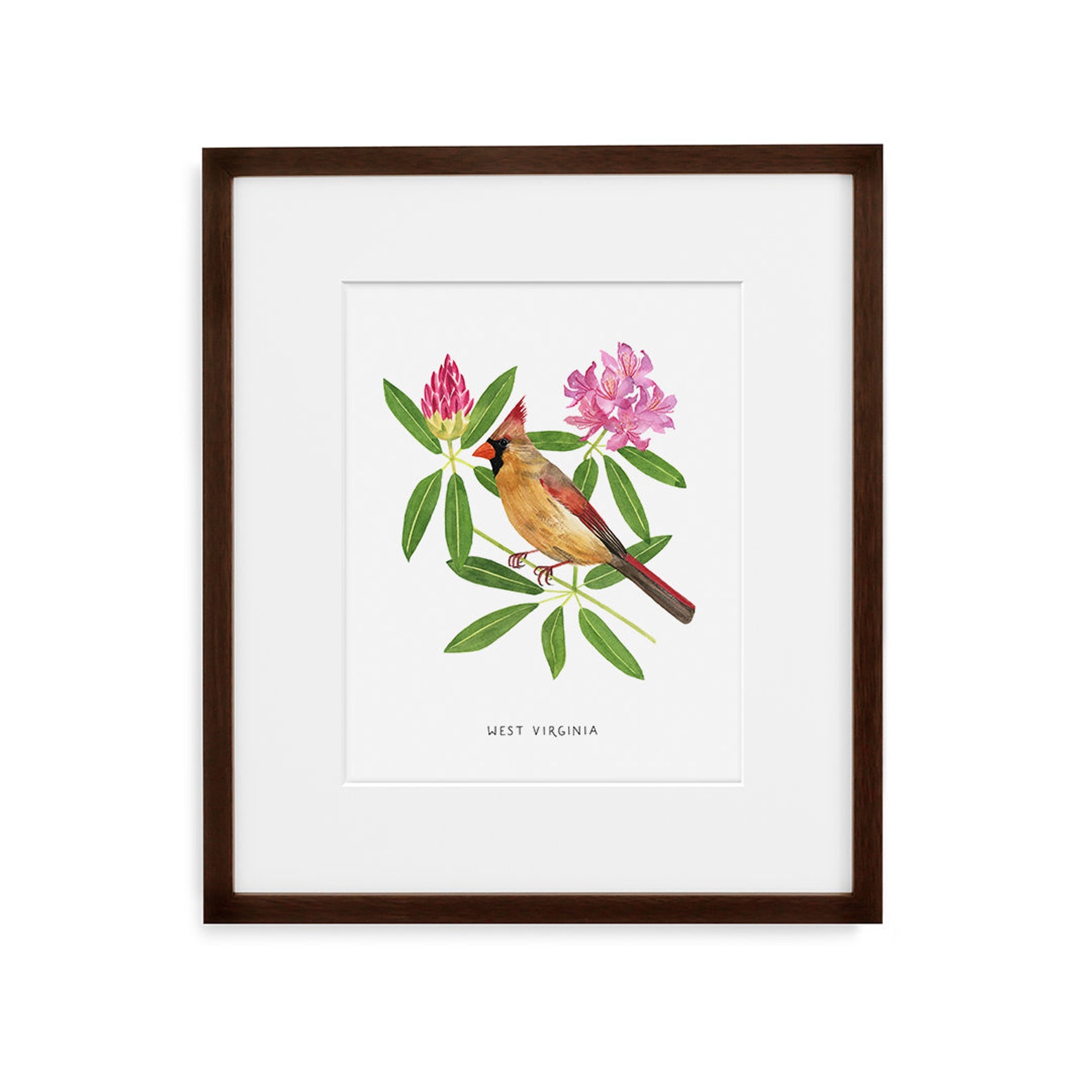 West Virginia State Bird Art Print West Virginia Cardinal - Etsy