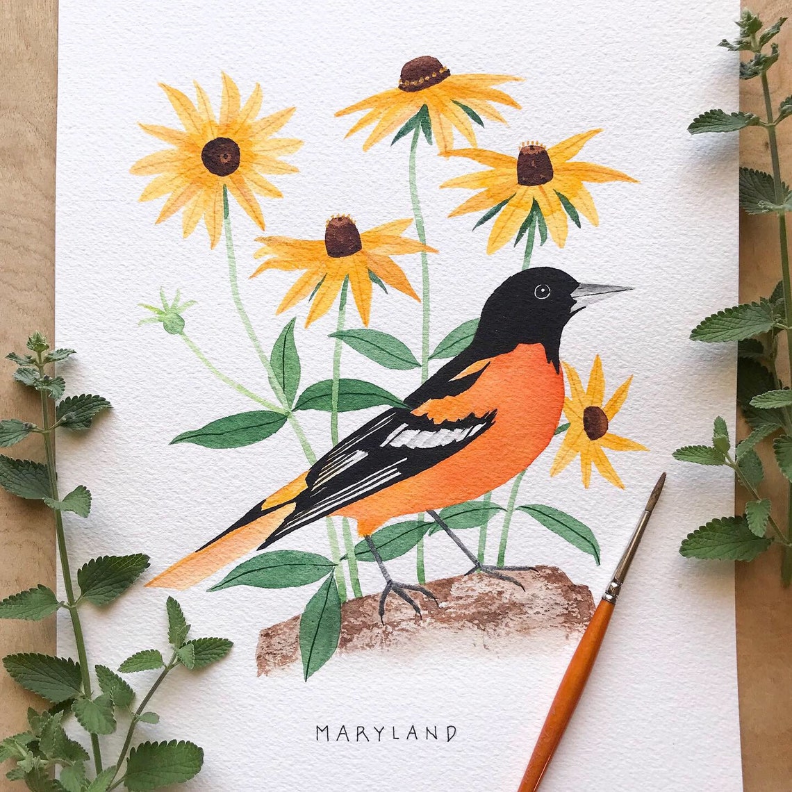Maryland State Bird Art Print | Maryland Oriole and Black-eyed Susan ...