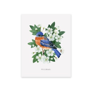 Missouri Bluebird Art Print | Watercolor Hawthorn Flowers - Etsy