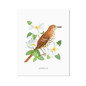 Georgia State Bird Art Print | Georgia Brown Thrasher and Cherokee Rose ...