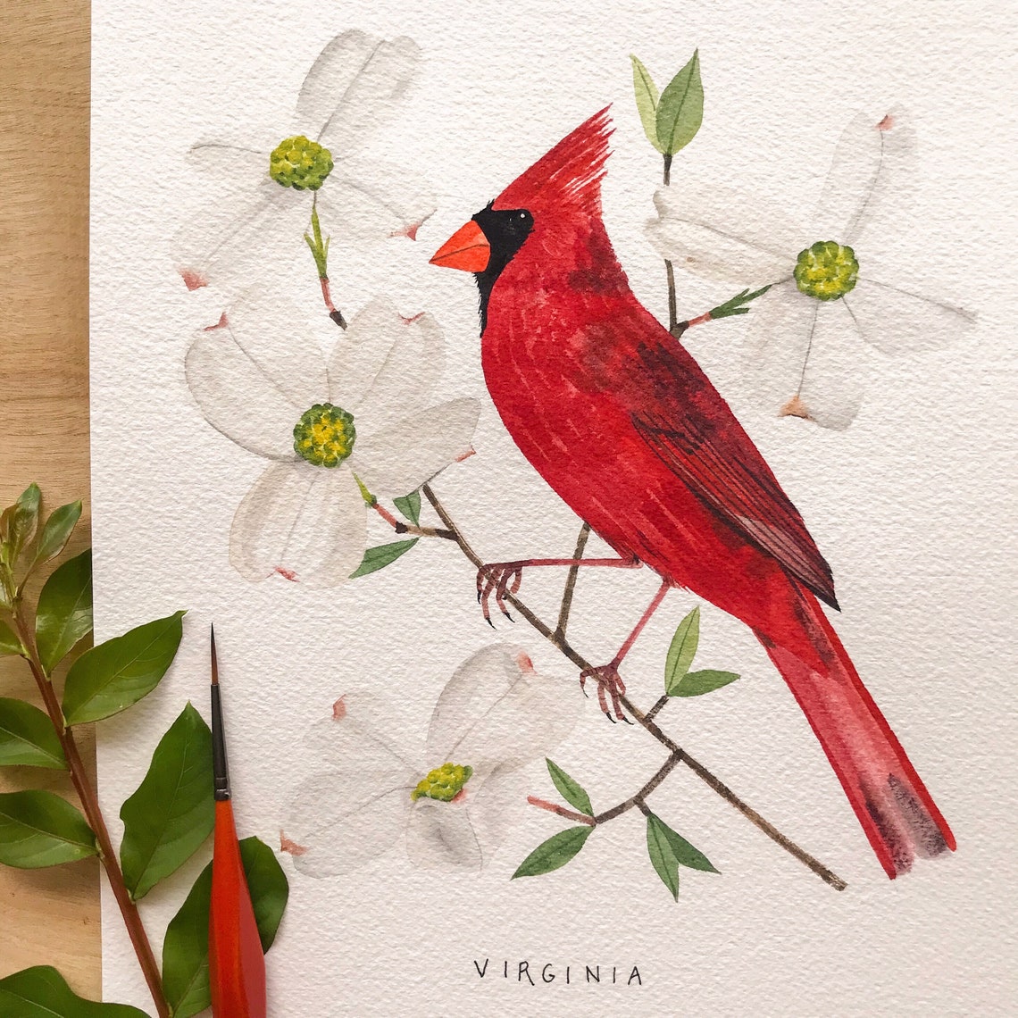 Virginia Cardinal Art Print | Dogwood Flowers, Watercolor State Bird - Etsy