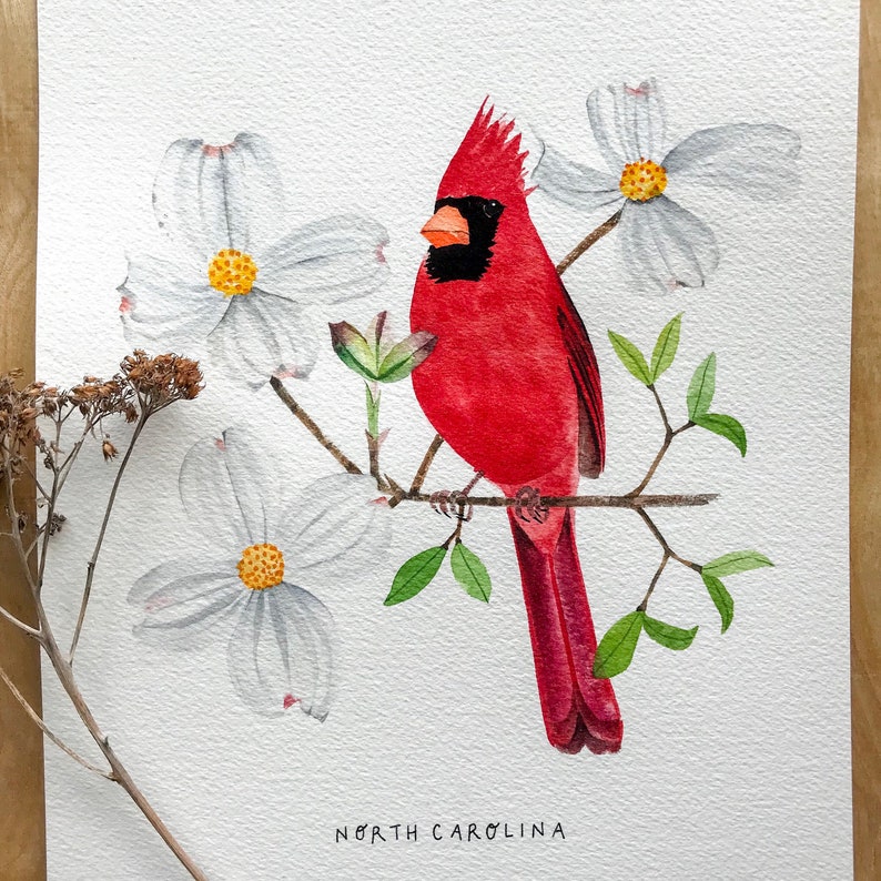 North Carolina Cardinal Art Print | Dogwood Floral Watercolor - Etsy