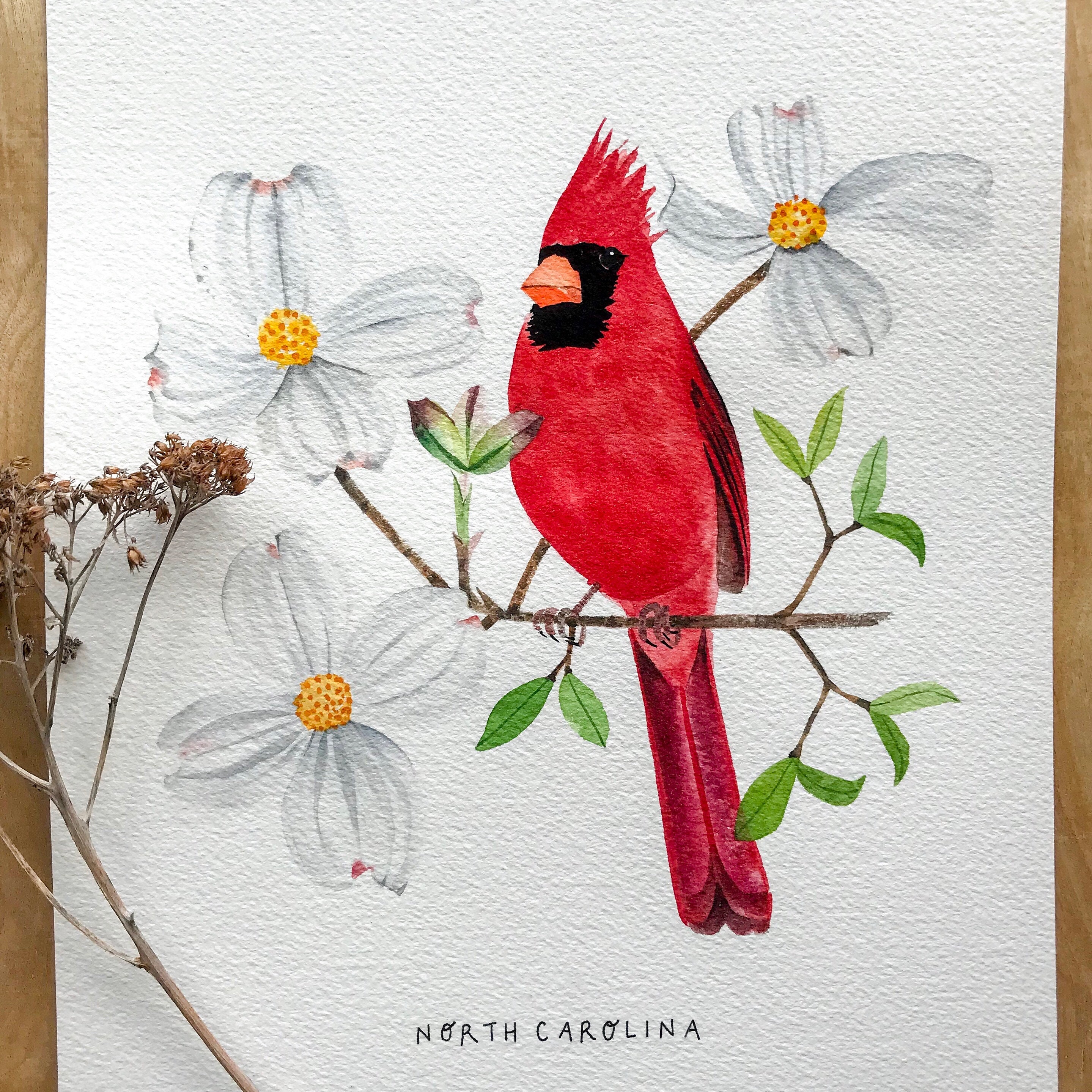 North Carolina State Bird Art Print North Carolina Cardinal | Etsy