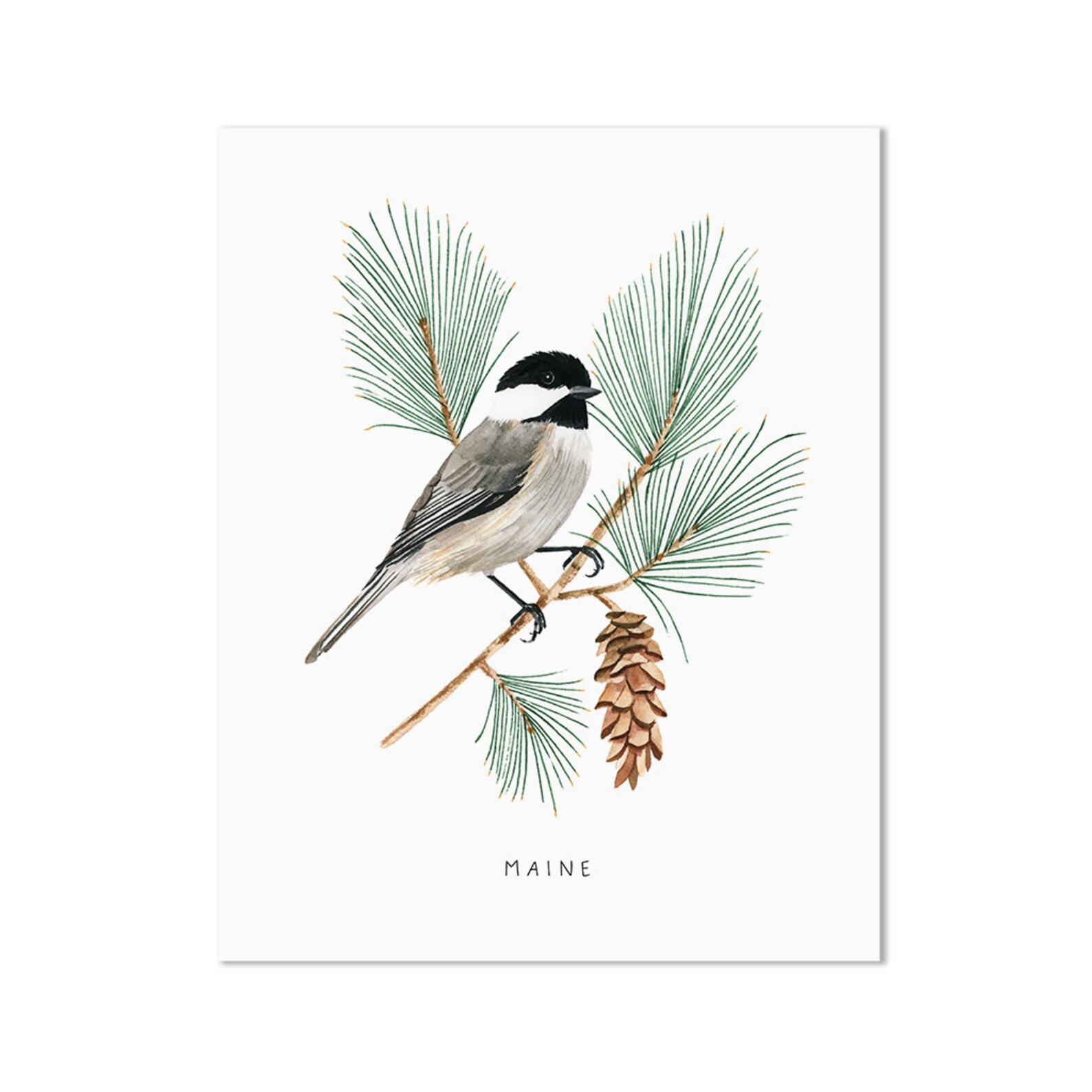 Maine Chickadee Art Print | Watercolor State Bird and Pinecone - Etsy