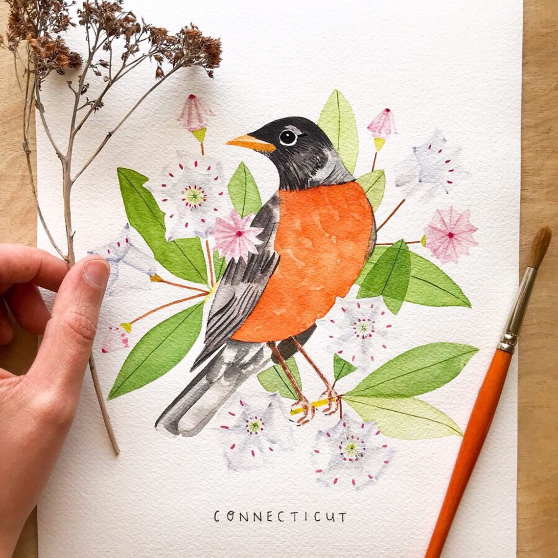 Connecticut State Bird Art Print American Robin and Mountain | Etsy