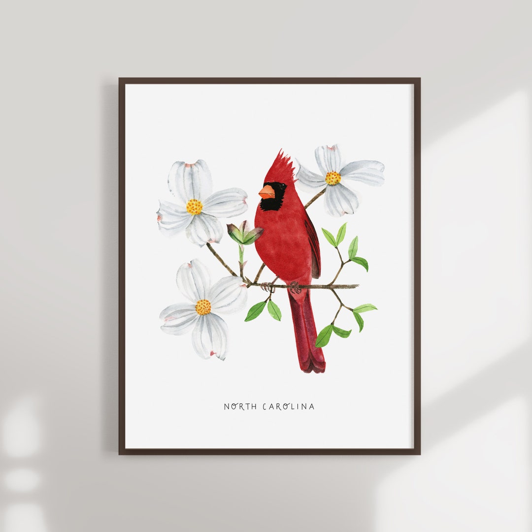 North Carolina State Bird Art Print | North Carolina Cardinal and ...