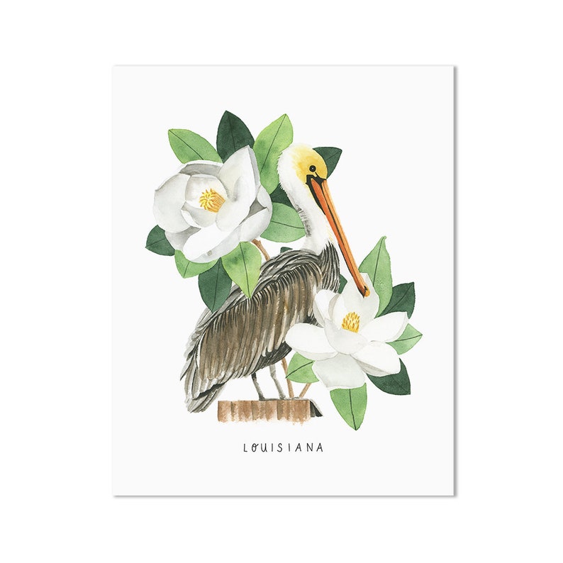 Louisiana State Bird Art Print Louisiana Brown Pelican and | Etsy