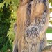 CROSS FOX FUR Coat!fullpelts!order Any Color!brand New Real Natural ...