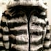 MEN'S REX FUR in Chinchilla Color Short Jacket With Big Hood!brand New ...