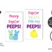 DIGITAL FILE - Printable Easter Gift Tags | Hoppy Easter Peeps | Treats ...