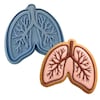 Lungs Cookie Cutter STL File: Medical Cookie Design (digital Download ...