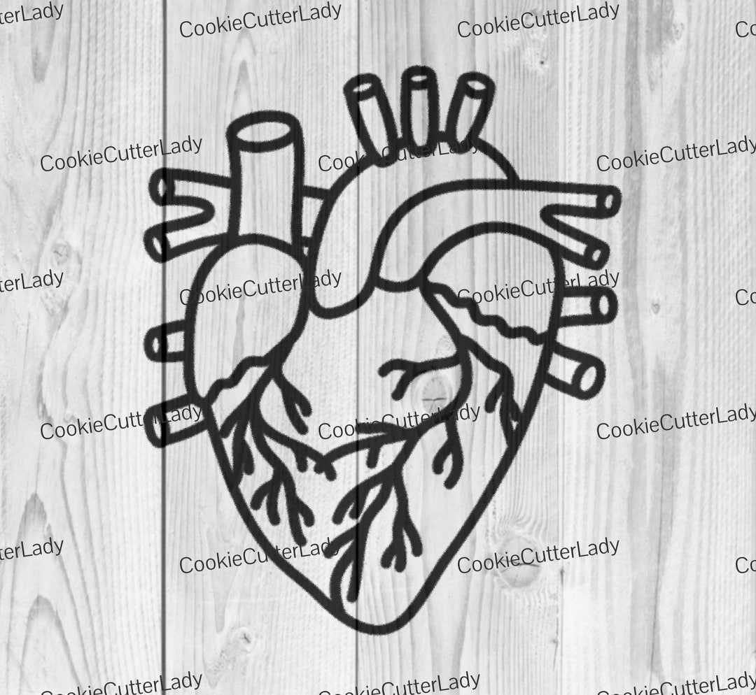Anatomical Heart Stencil | REUSABLE, DURABLE, WASHABLE Craft Stencil ...