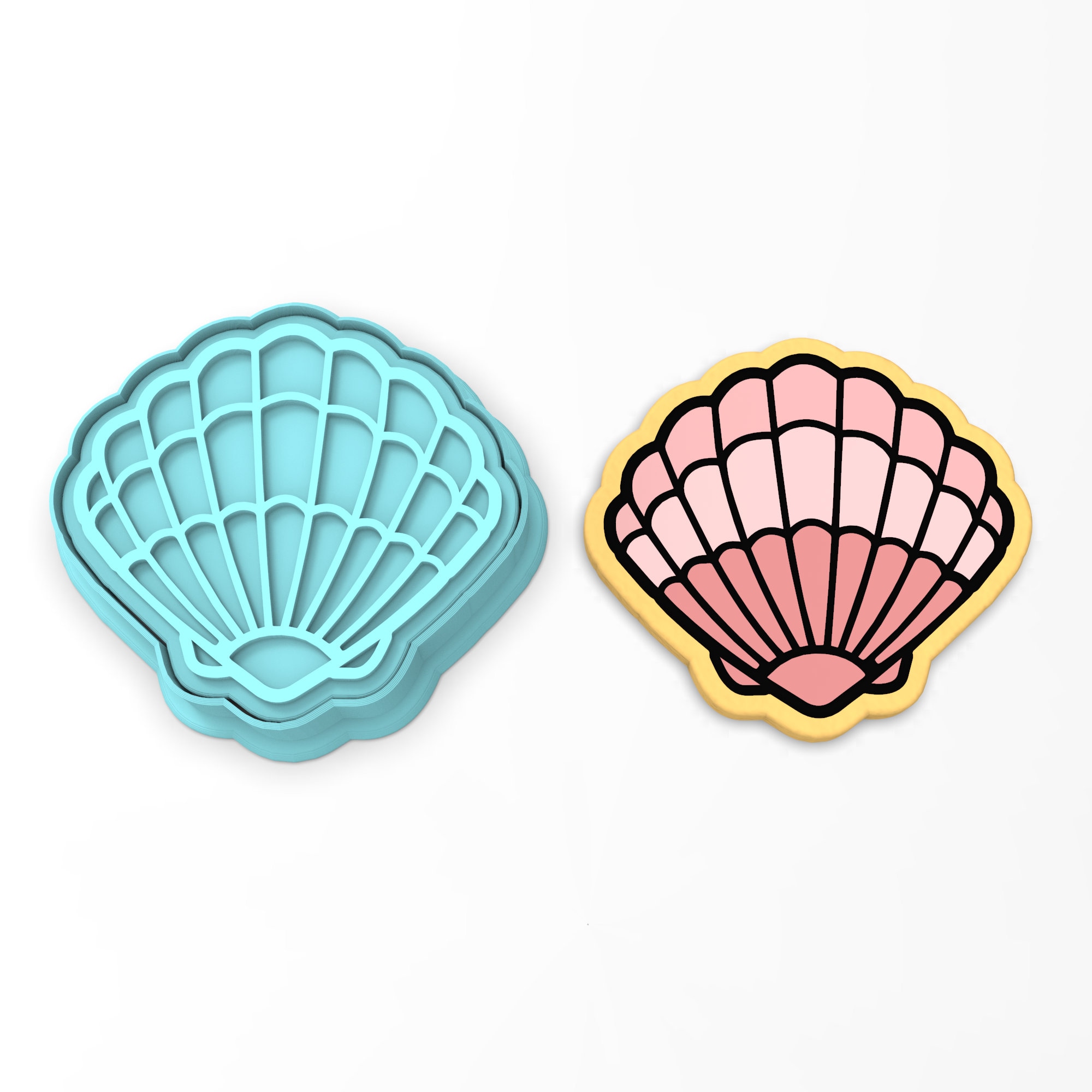 Clam Shell Stencil FAST Shipping Choose Your Own Size | Etsy