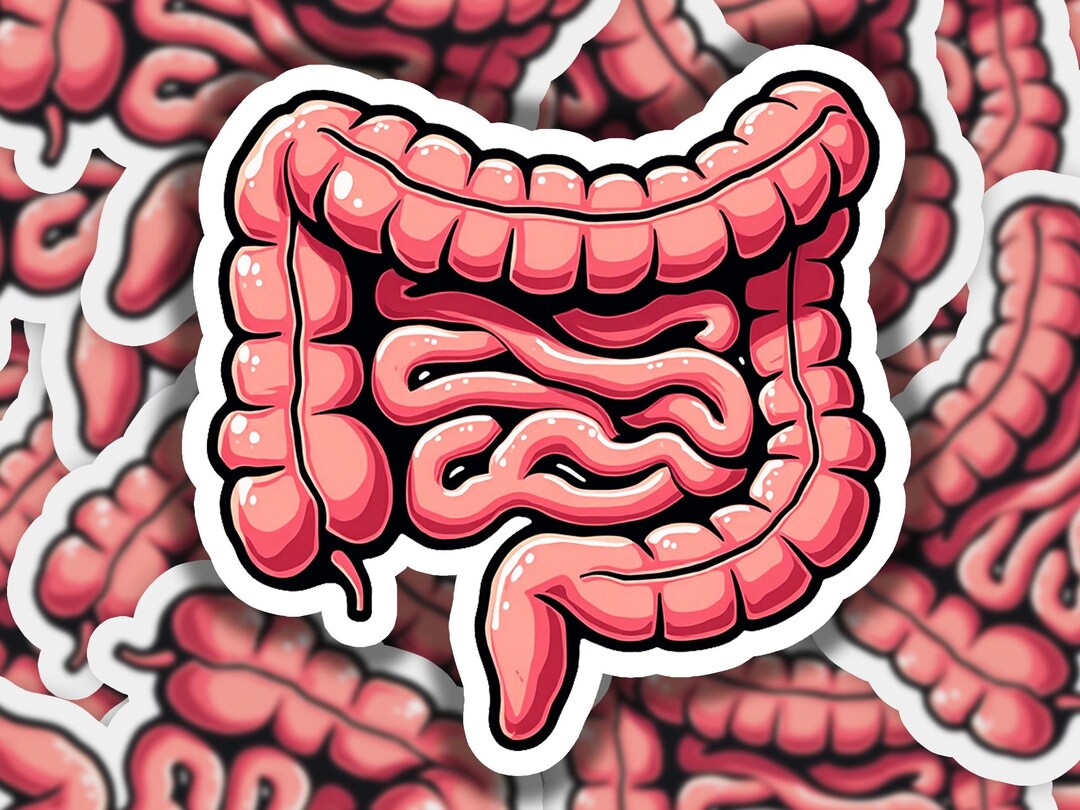 Intestines Vinyl Sticker | Dishwasher Safe & Durable | Custom Sizes ...