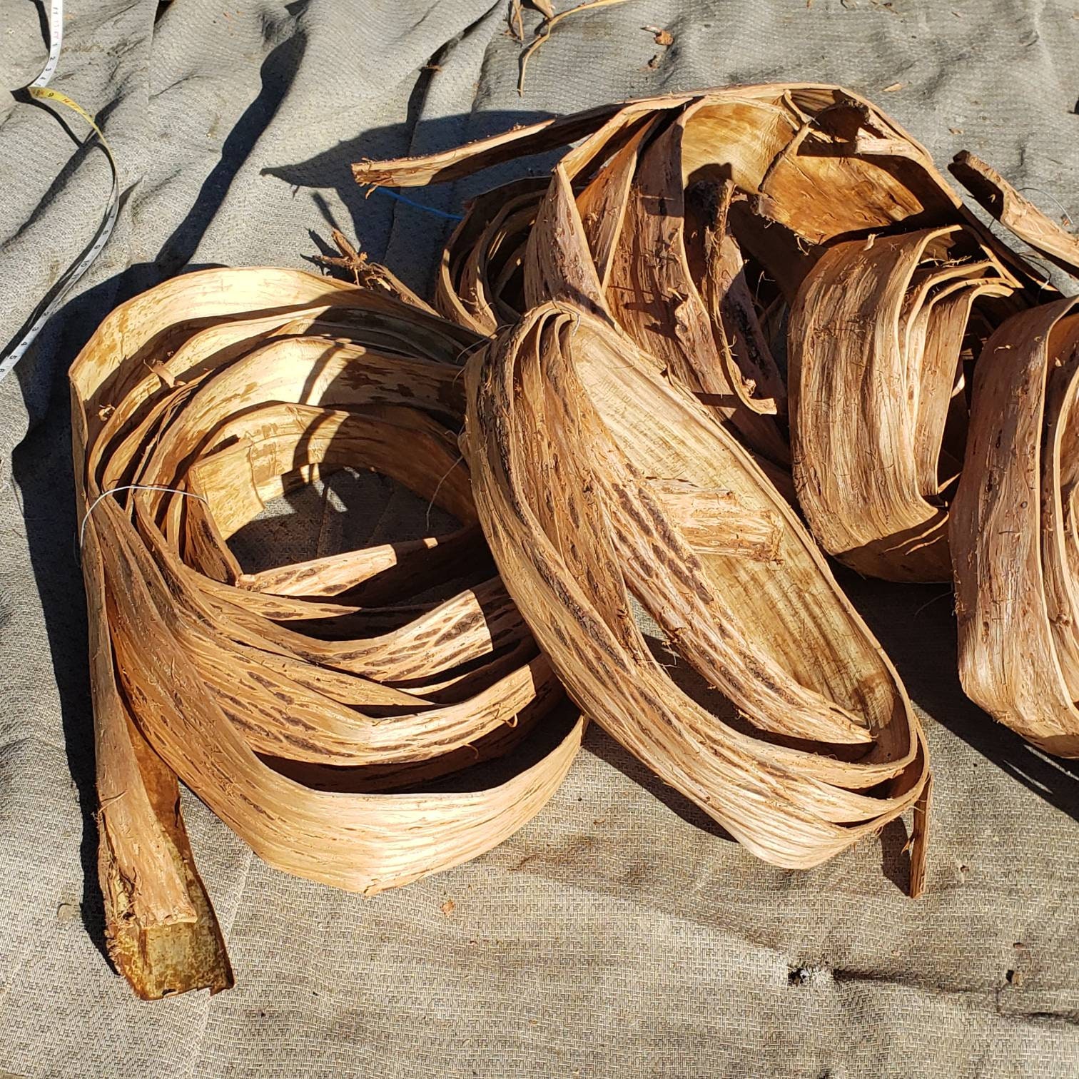 Hickory Bark 100ft Roll - Etsy