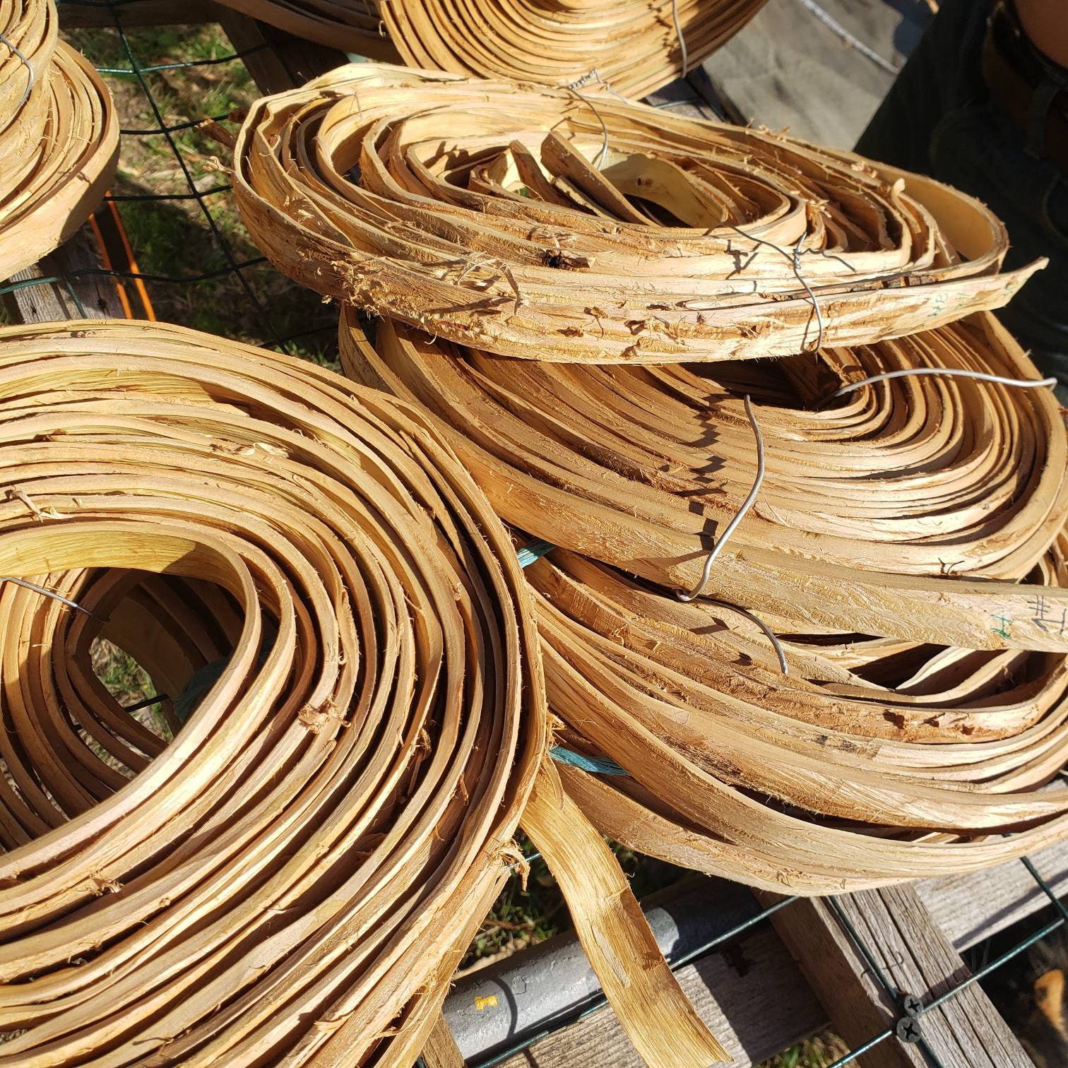 Hickory Bark 100ft Roll - Etsy
