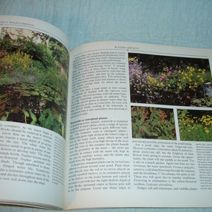 Book: the Wild Garden by Violet Stevenson, How to Create a Natural ...