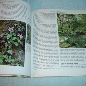 Book: the Wild Garden by Violet Stevenson, How to Create a Natural ...