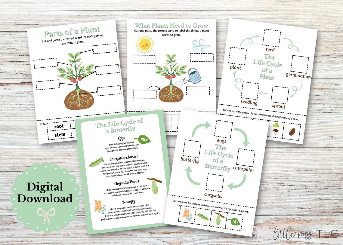 Printable Spring Kindergarten Activities Bundle - Etsy