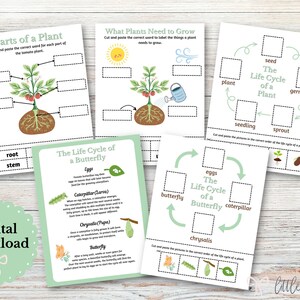 Printable Spring Kindergarten Activities Bundle - Etsy