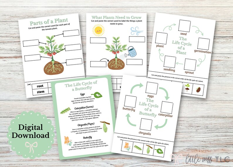 Printable Spring Kindergarten Activities Bundle - Etsy
