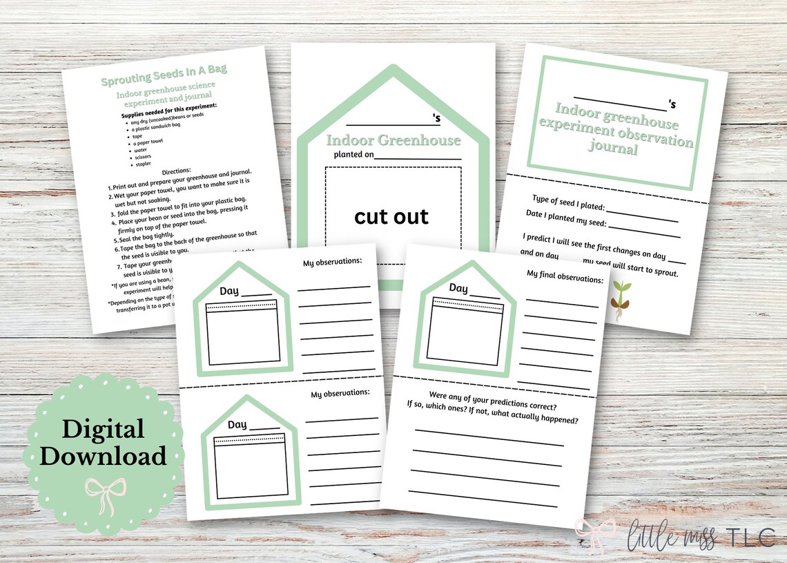 Printable Spring Kindergarten Activities Bundle - Etsy