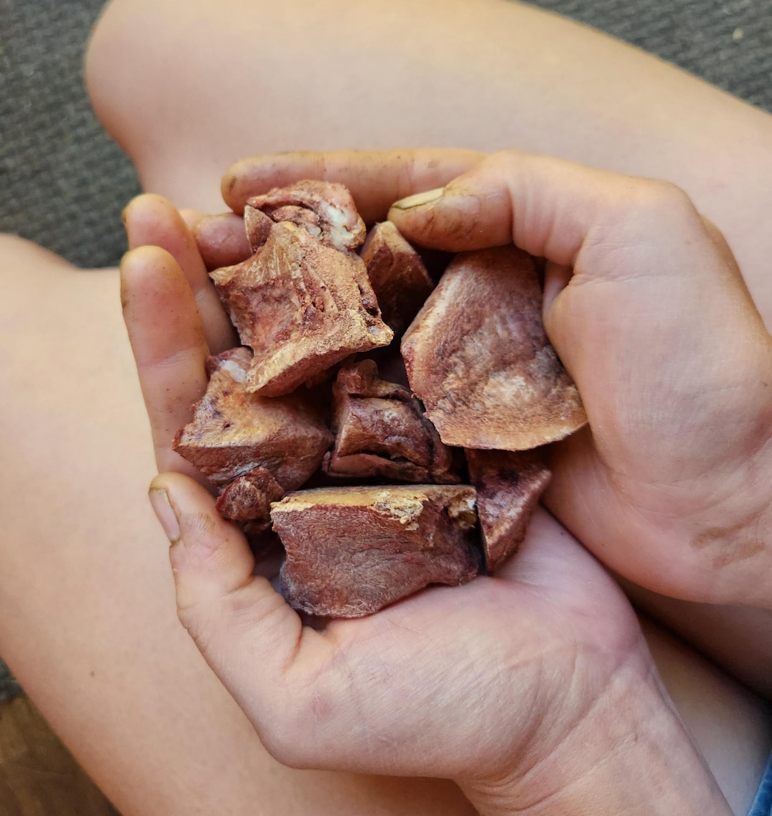 Freeze Dried Organ Meat for Pets Sourced From Our Homestead, Raw Dog ...