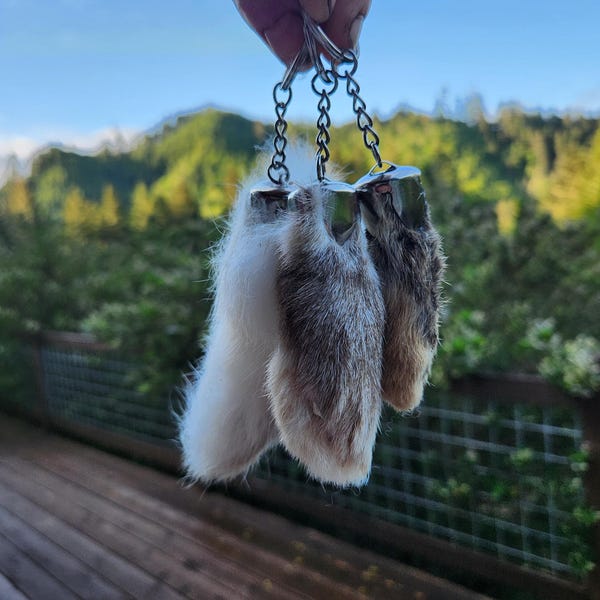 Rabbits Foot Keychain - Etsy