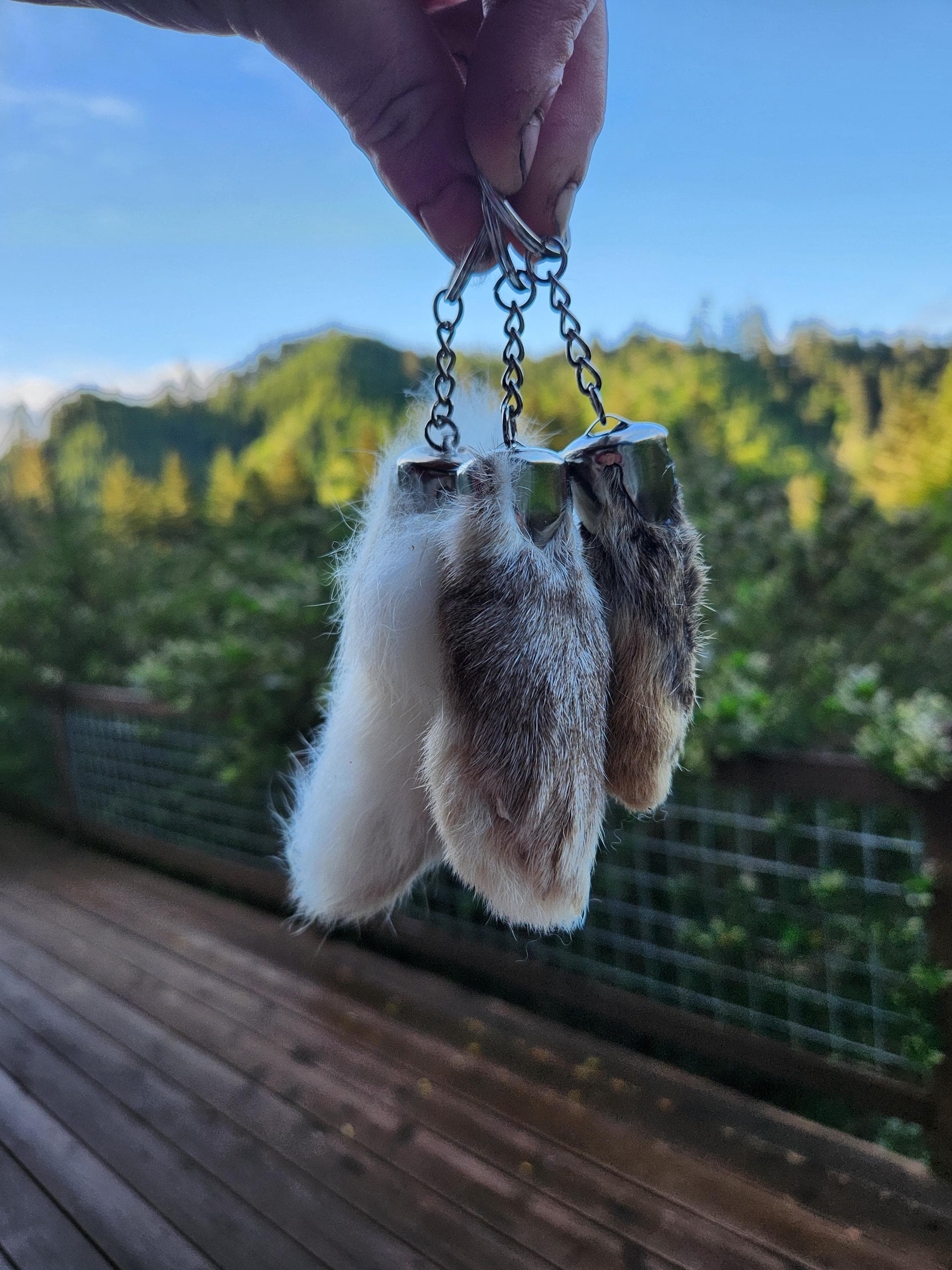 Real Rabbit Foot and Fluffy Rabbit Tail Keychains From Our Homestead ...