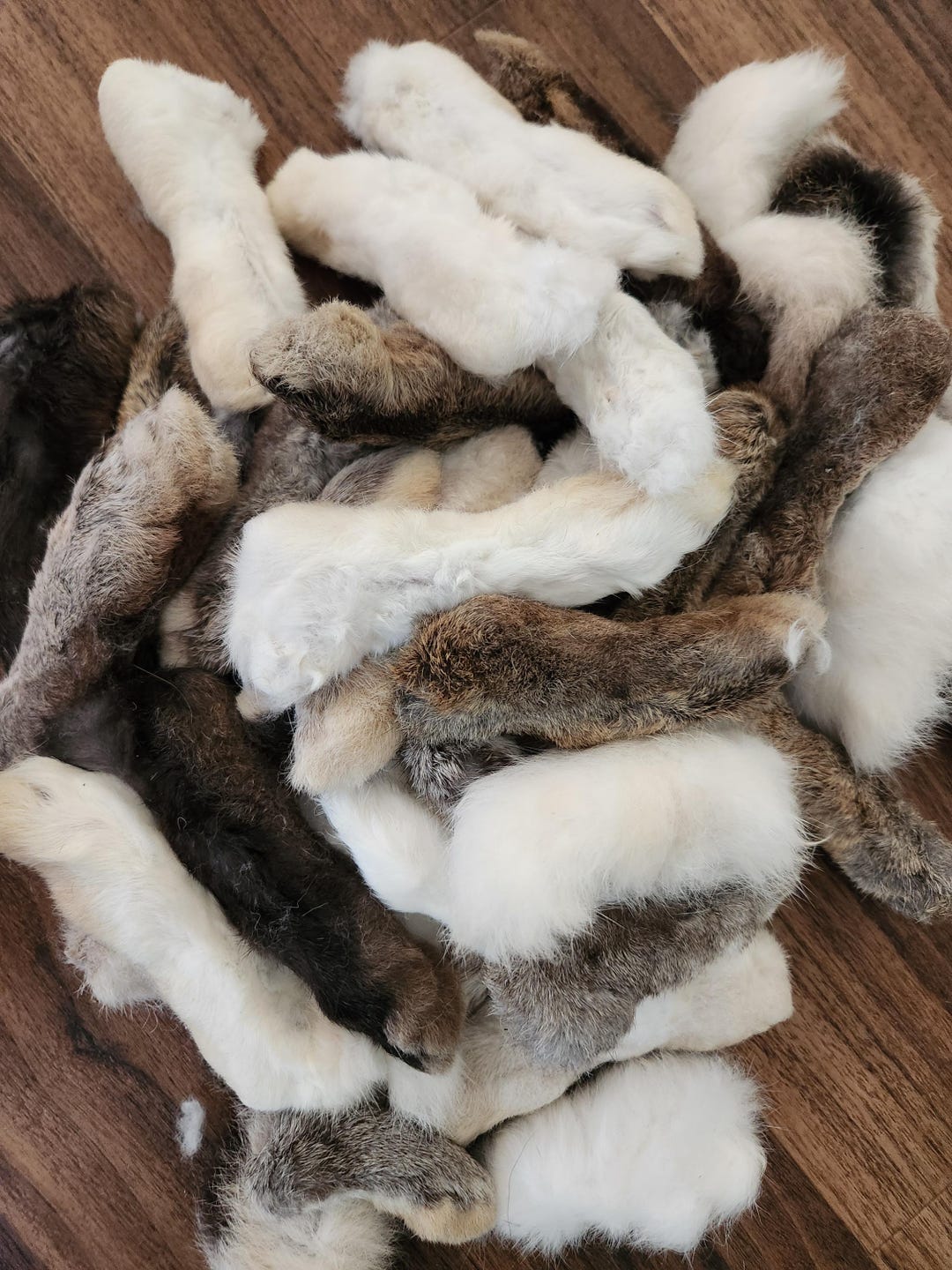 Real Rabbit Feet and Fluffy Rabbit Tails From Our Homestead, Raised ...