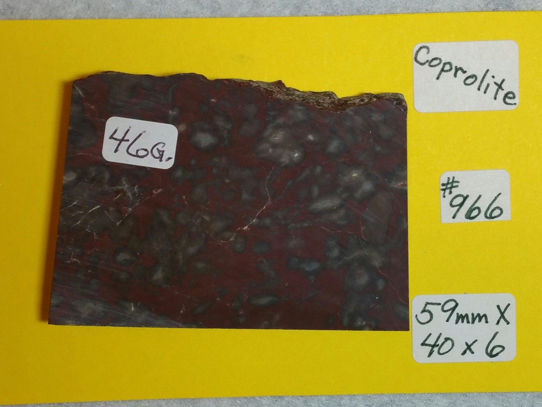 Dinosaur Poop, Coprolite, Coprolite Slab for Cabochons, Jewelry Making ...