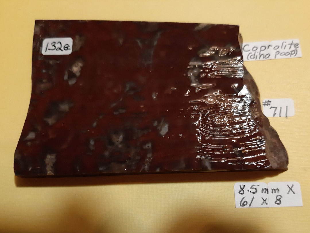 Dinosaur Poop, Coprolite, Coprolite Slab for Cabochons, Jewelry Making ...