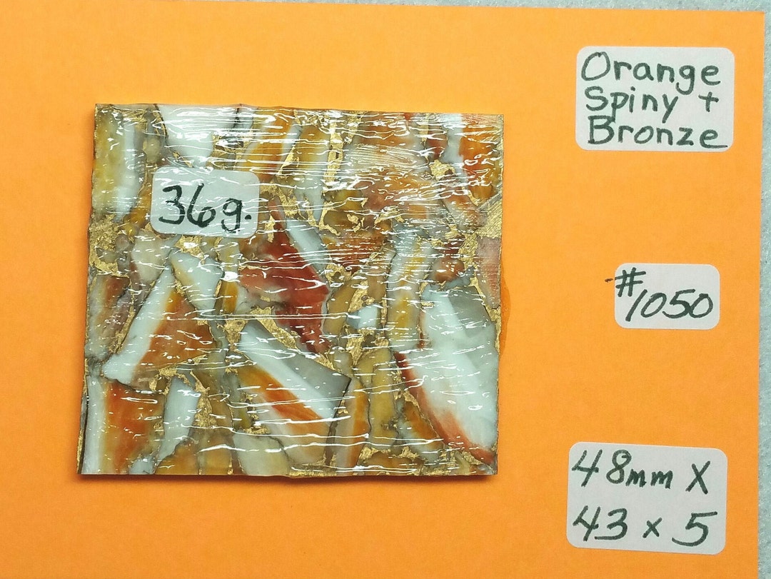 Orange Spiny, Orange Spiny Rough Slab for Cabochons, Jewelry Making ...