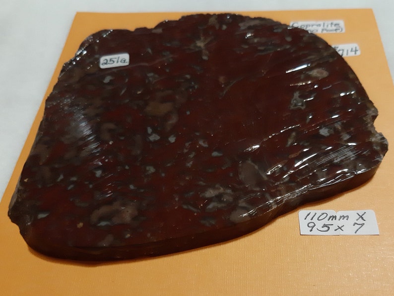 Dinosaur Poop, Coprolite, Coprolite Slab for Cabochons, Jewelry Making ...