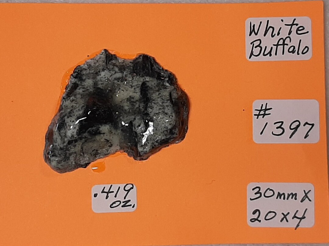 Rough White Buffalo, White Buffalo Slab for Cabochons, Jewelry Making ...