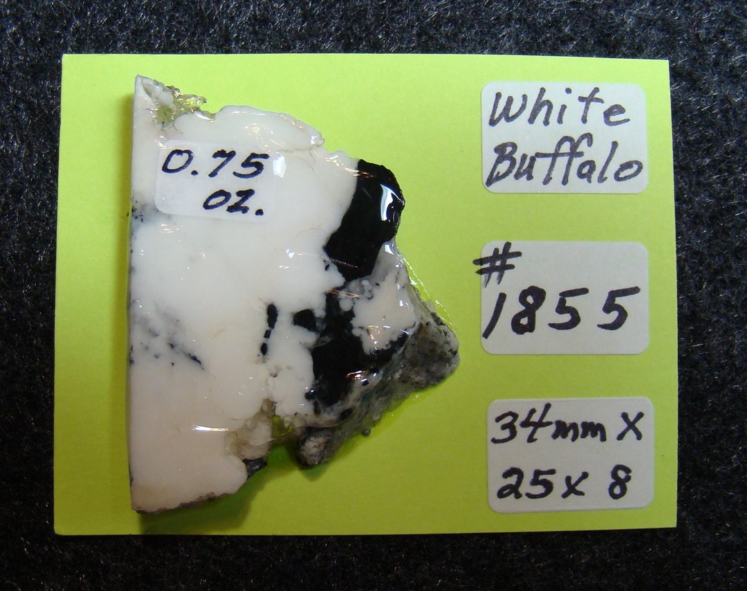 Rough White Buffalo, White Buffalo Slab for Cabochons, Jewelry Making ...