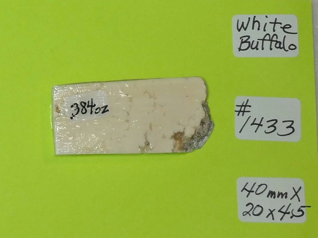 Rough White Buffalo, White Buffalo Slab for Cabochons, Jewelry Making ...