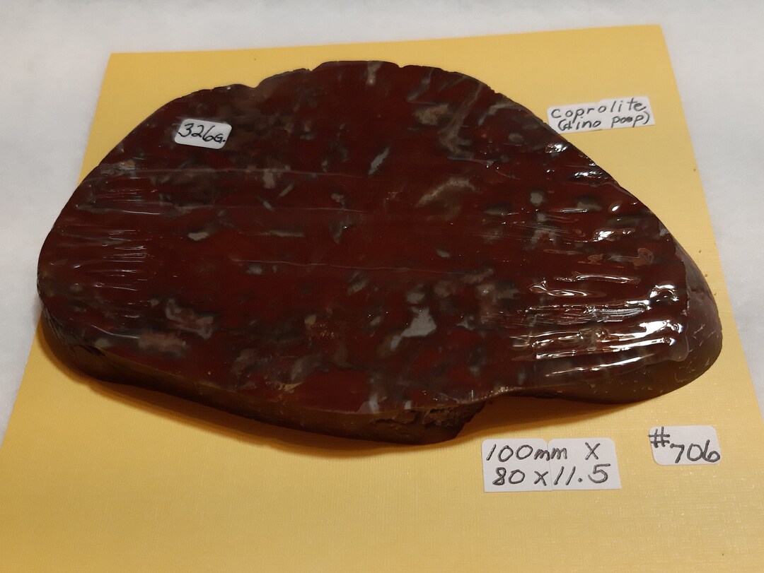 Dinosaur Poop, Coprolite, Coprolite Slab for Cabochons, Jewelry Making ...